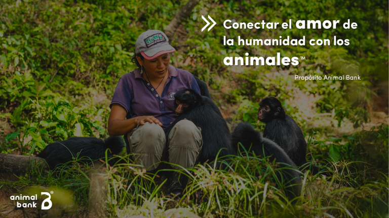 Quiénes somos - Animalbank